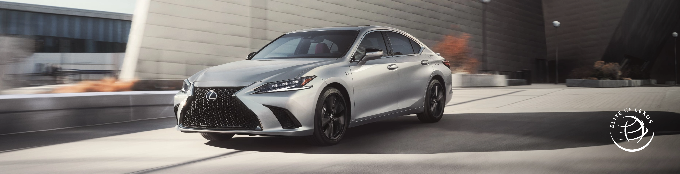 Elite of Lexus