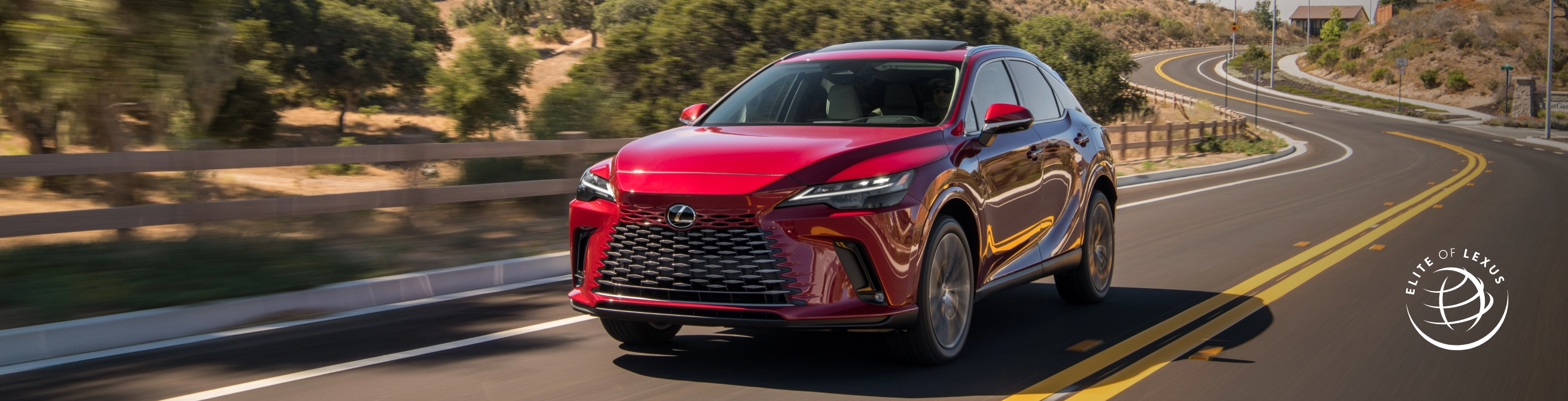 Elite of Lexus